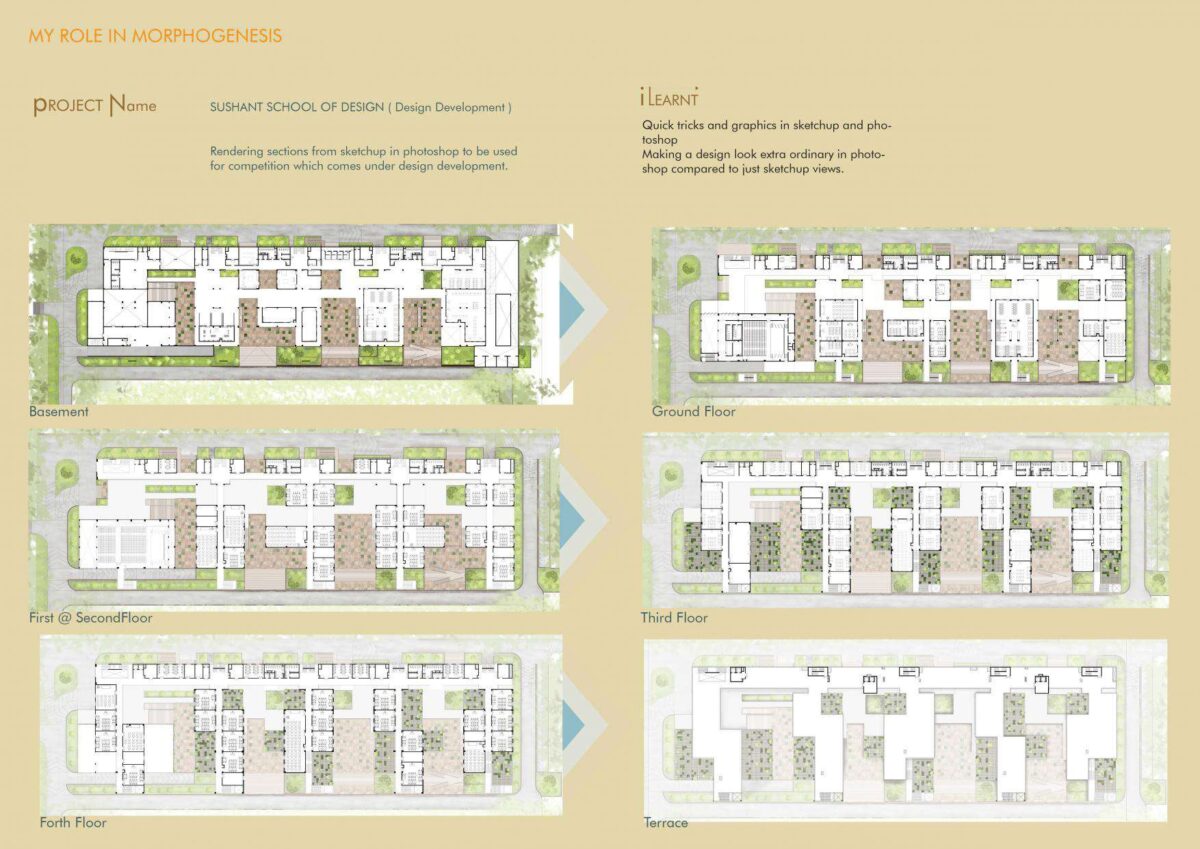 Morphogenesis Work – Professor Of Design